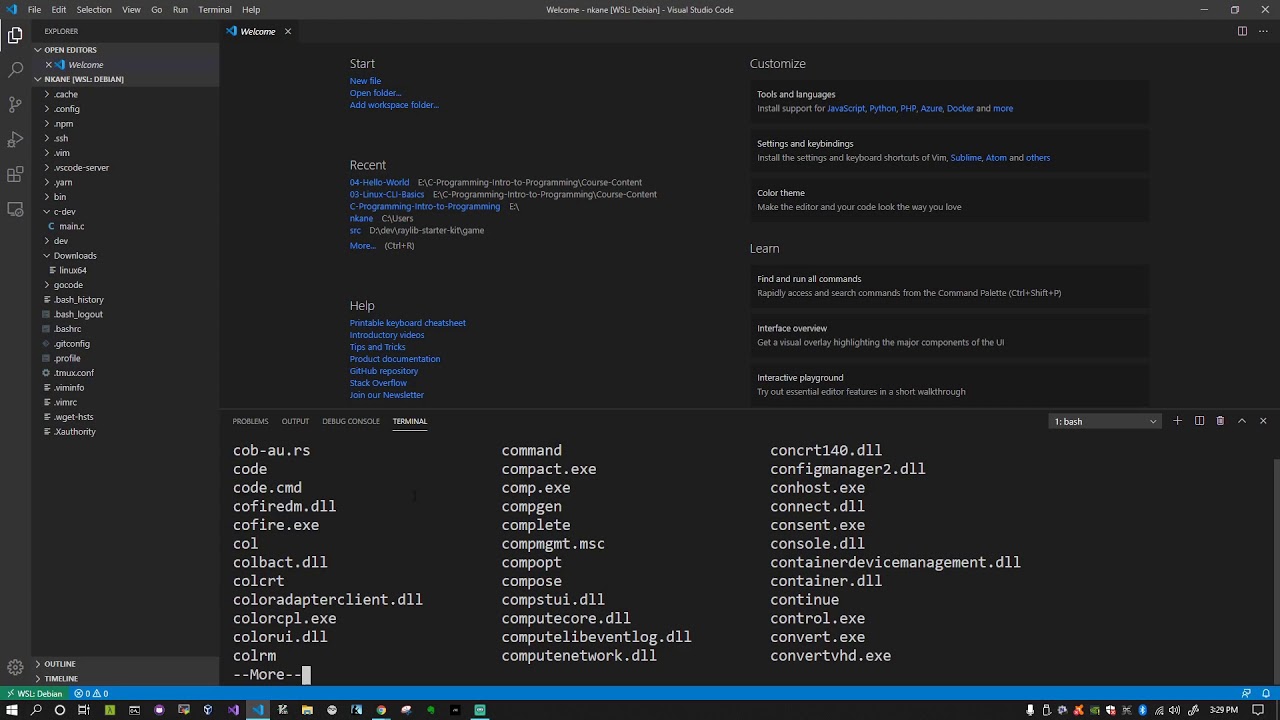C Programming - 2.3 Debugging with GDB