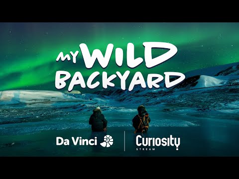 My Wild Backyard | Official Trailer | Da Vinci x Curiosity Stream
