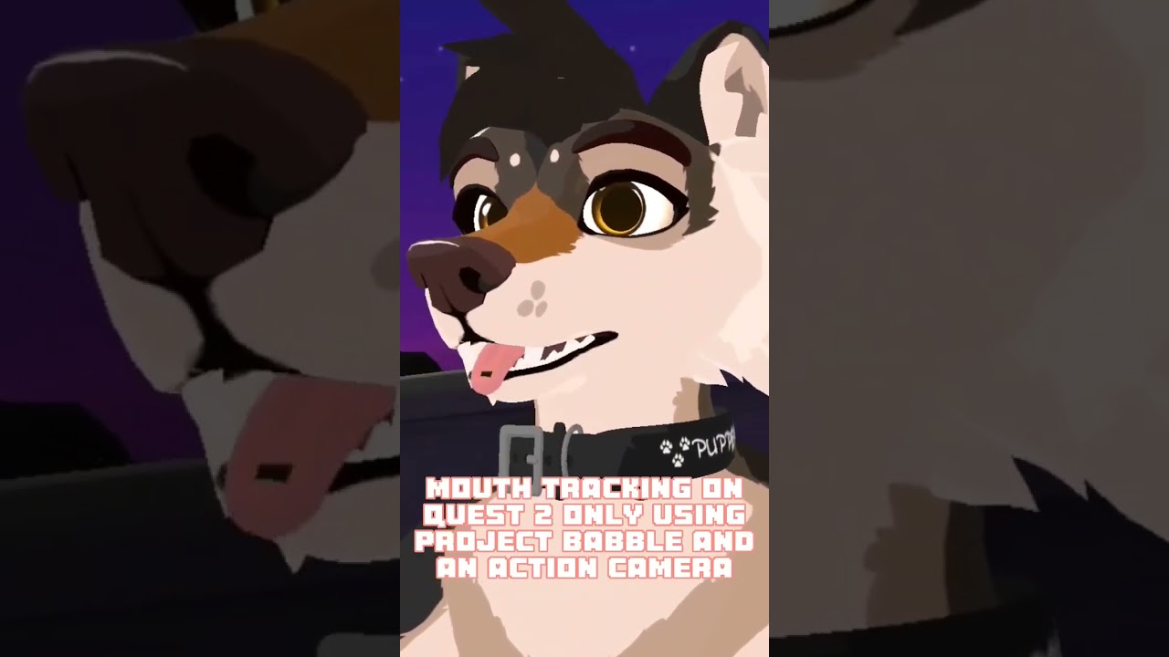 Mouth Tracking on Quest 2 with only Project Babble and an Action Camera #vrchat #facetracking