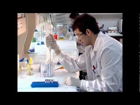 Invitrogen iBlot® Dry Blotting System