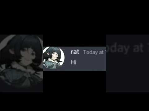 rat... is typing💀 #shorts #memes #darkhumor #discordmemes #funny