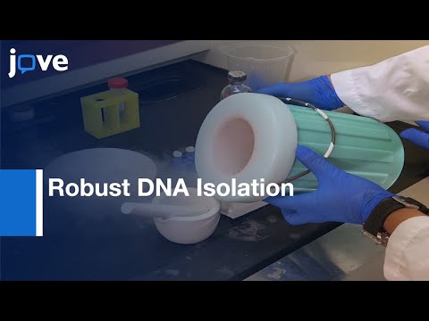 DNA Isolation & Sequencing Library Construction (Herbarium Specimens)