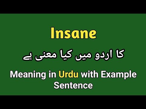Meaning of Insane in urdu/hindi || Insane meaning || Insane ka matlab kia hota ha