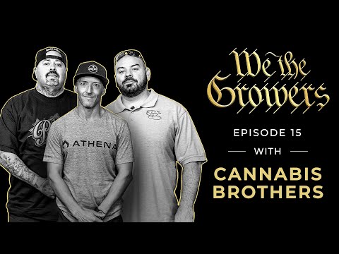 Cannabis Brothers – E.15