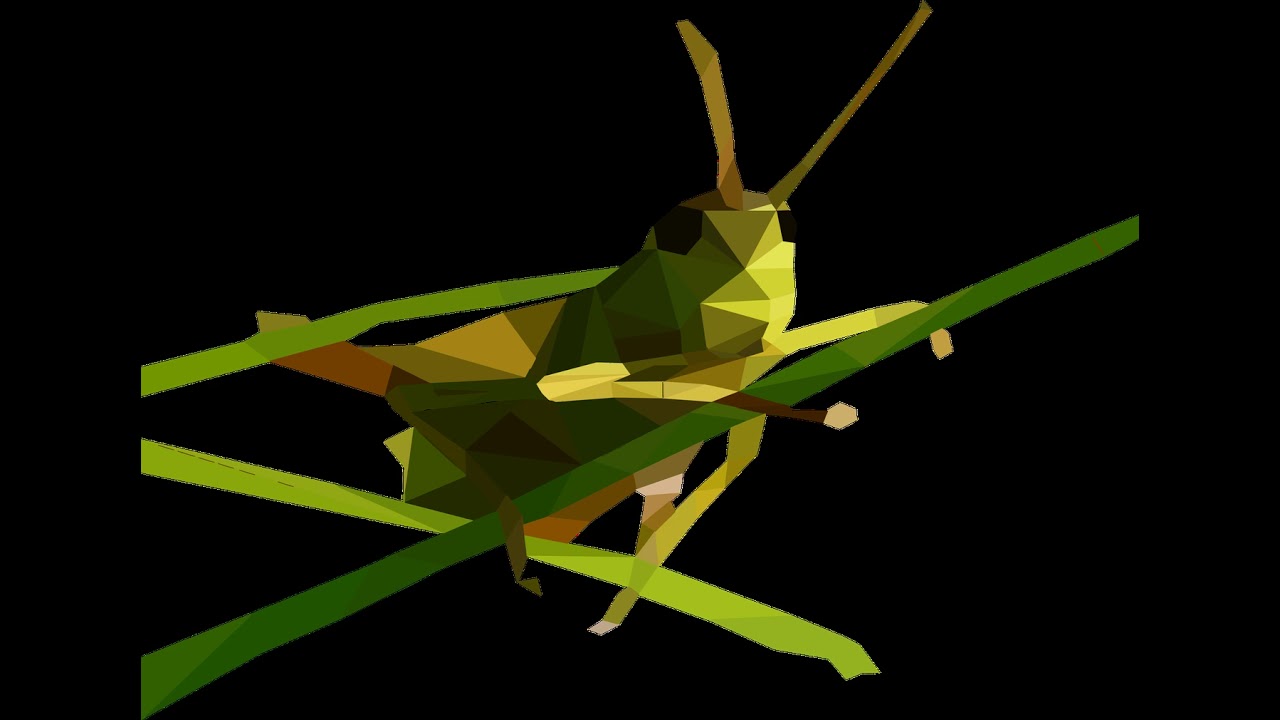 Grasshopper PNGs