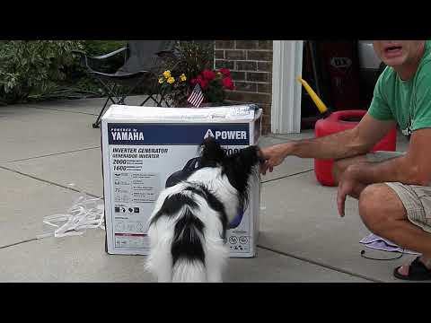 BLOOPER - Featuring the SC2000i Inverter & Henry the Papillon Dog