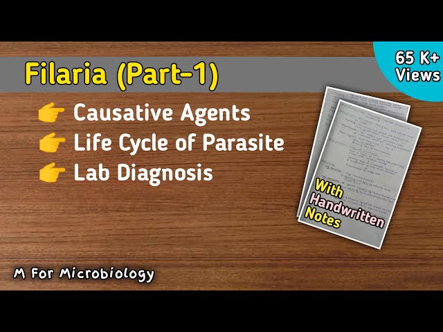 Understanding Filaria: Causes, Life Cycle, and Diagnosis | Galaxy.ai ...
