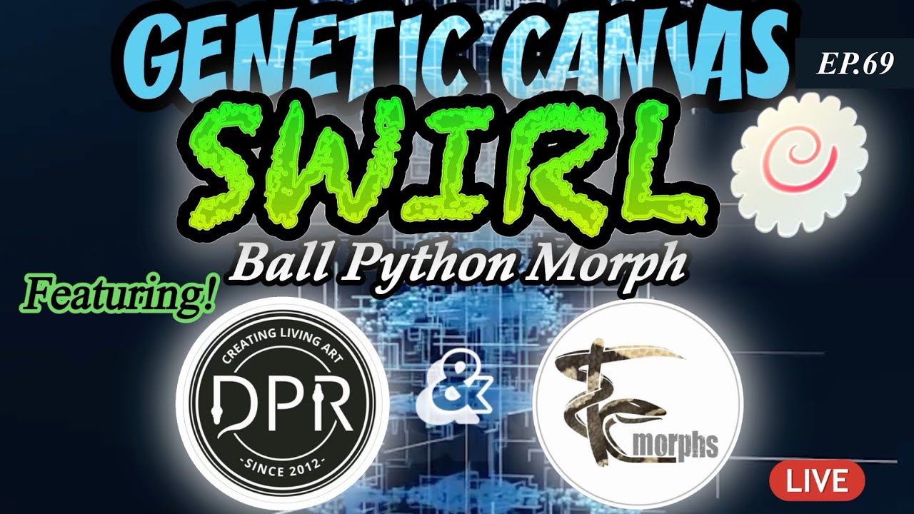 GENETIC CANVAS- 😵‍💫 SWIRL BALL PYTHON MORPH ft. DPR COLDBLOOD & TC MORPHS & ⁉️SUPER SWIRL SHOWCASE⁉️