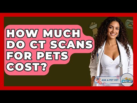 How Much Do CT Scans For Pets Cost? - Ask A Pet Vet