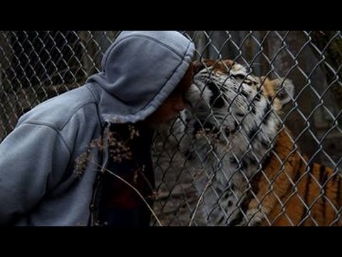 The Exotic Feline Rescue Center
