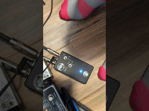 Discordance Electric Theremin Simulator w/ Suboctave PLL | Reverb