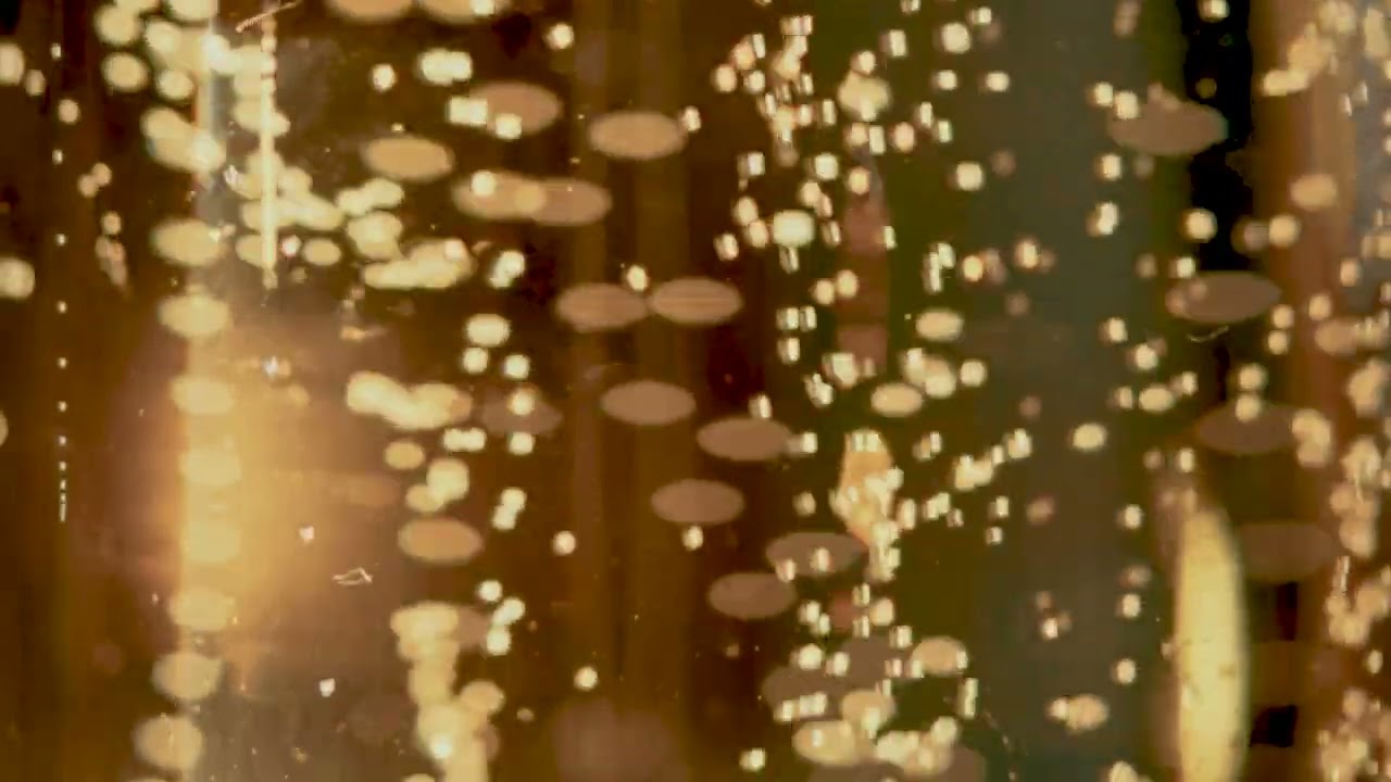 Champagne Bubbles Screensaver | Celebration Background | Wedding Engagement Party Ambience | 3 Hours
