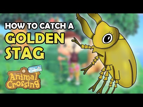 How to catch a GOLDEN STAG in Animal Crossing New Horizons [12,000 Bells - Detailed Bug Guide]