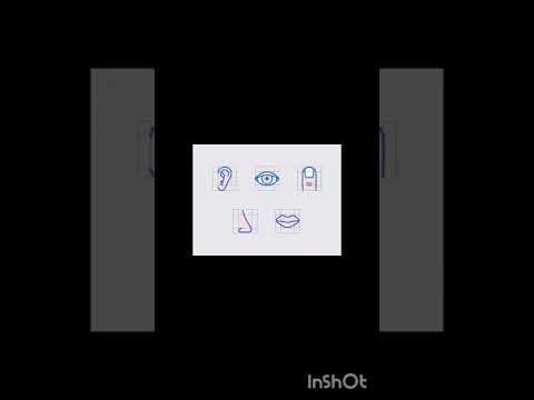 #Senses What are the senses | Every Minute Inspiration