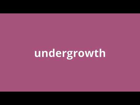 what is the meaning of undergrowth