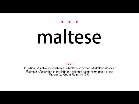 How to pronounce maltese - Vocab Today