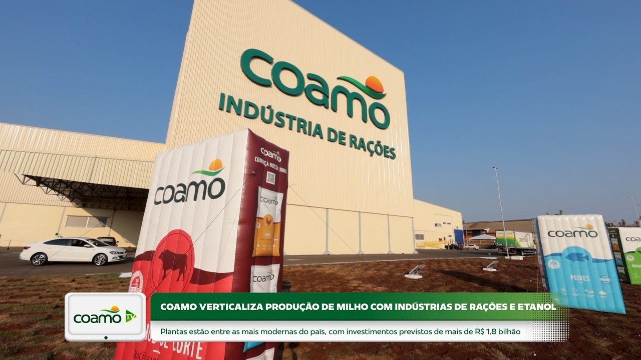 Coamo TV: Cooperativa verticaliza produção de milho com indústrias de ...