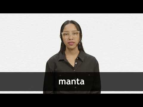 English Translation of “MANTA” | Collins Spanish-English Dictionary