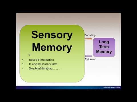 Chapter 7 Memory Narrated PowerPoint
