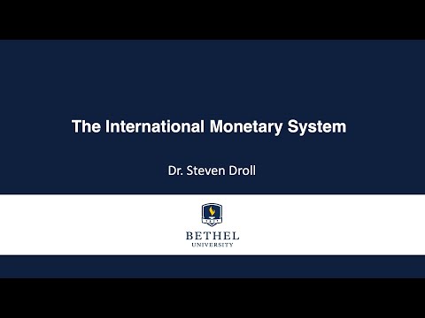 The International Monetary System