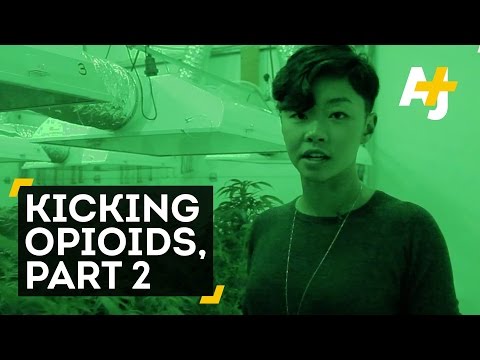 Could Cannabis Be A Solution To The Opioid Crisis?