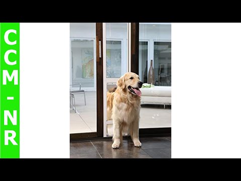 PetSafe Freedom Aluminum Patio Panel Sliding Glass Pet Door