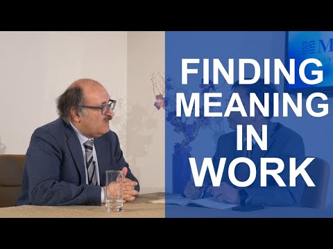 Finding Meaning In Work | Dr. Steven Stein