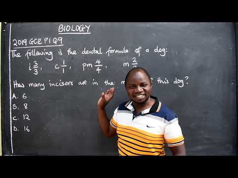 BIO  2019 GCE P1 Q9