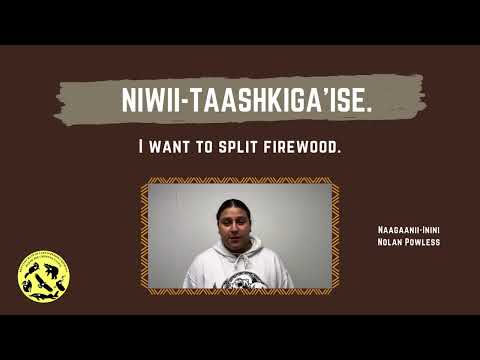 Niwii-taashkiga'ise. - Iskigamiziganing Izhaadaa