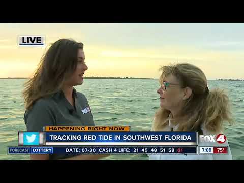 Tracking red tide in Southwest Florida by boat - 8am live report