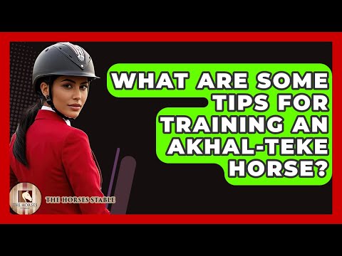 What Are Some Tips For Training An Akhal-Teke Horse? - The Horses Stable
