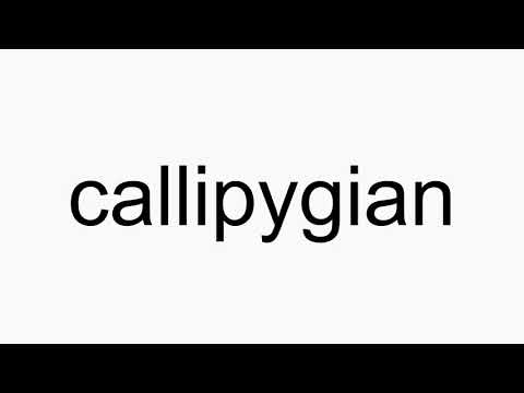 How to pronounce callipygian