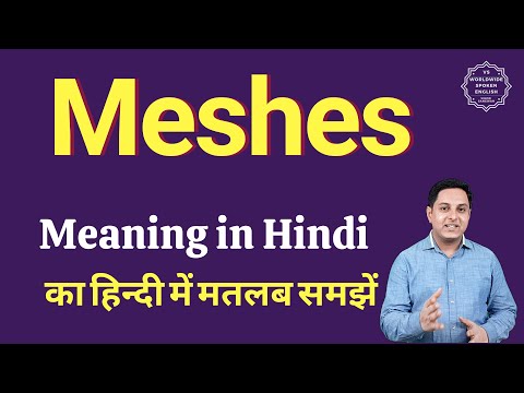 Meshes meaning in Hindi | Meshes ka matlab kya hota hai