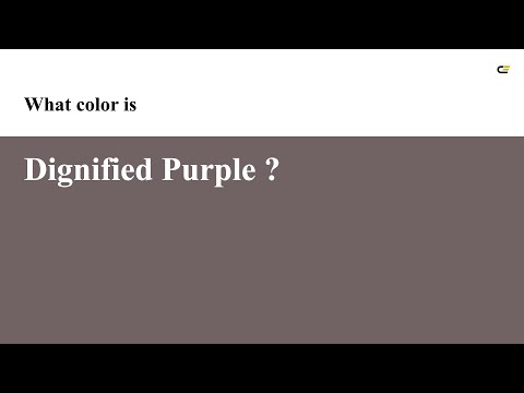 Dignified Purple color #716264 hex color - Brown color - Cool color 716264