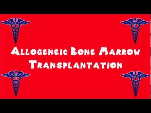 Pronounce Medical Words ― Allogeneic Bone Marrow Transplantation
