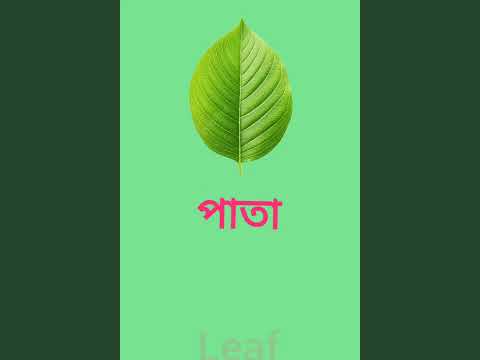 Leaf spelling#shorts#Leaf bengali meaning#english learning#