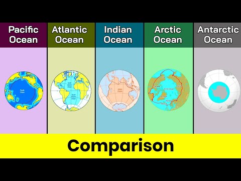 Pacific Ocean vs Atlantic Ocean vs Indian Ocean vs Arctic Ocean vs Antarctic ocean | Data Duck