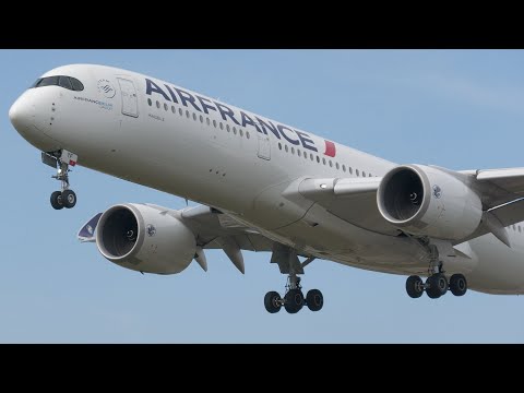 ⁴ᴷ⁶⁰ Saturday Afternoon Arrivals at Toronto Pearson Airport | Plane Spotting | CYYZ/YYZ | Runway 24L