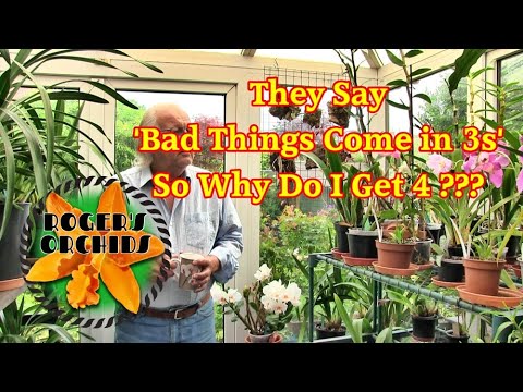 Bad Things Happen in 3s - So Why Do I Get 4? grrrr