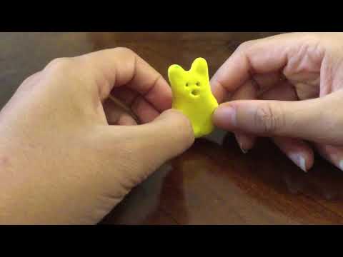 SCP 729-J - (Peepachu)