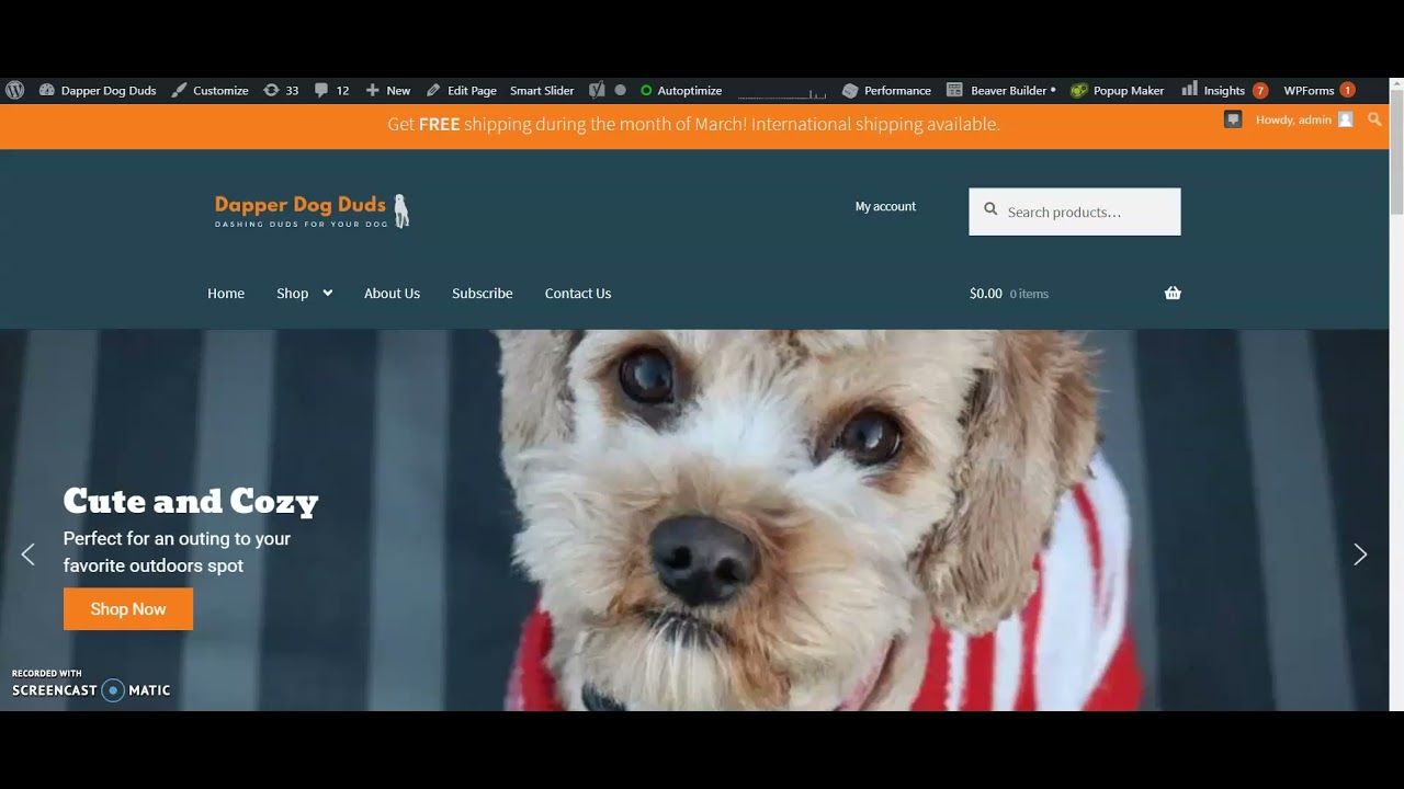 WordPress Storefront Theme Tutorial: How to Edit Custom HTML Widget