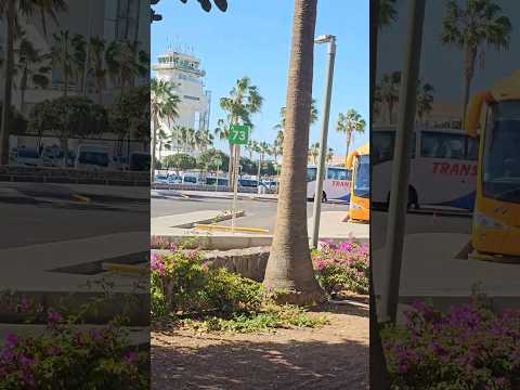 Tenerife South Airport, Tenerife +23°C 10:55 February 25, 2024 #tenerife #walk #tfs #airport