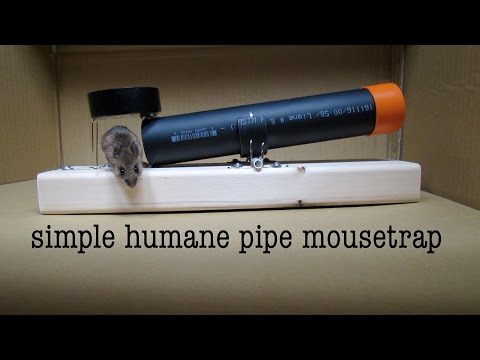 Make a Non-Lethal Mouse Trap From a Few Hardware Store Parts