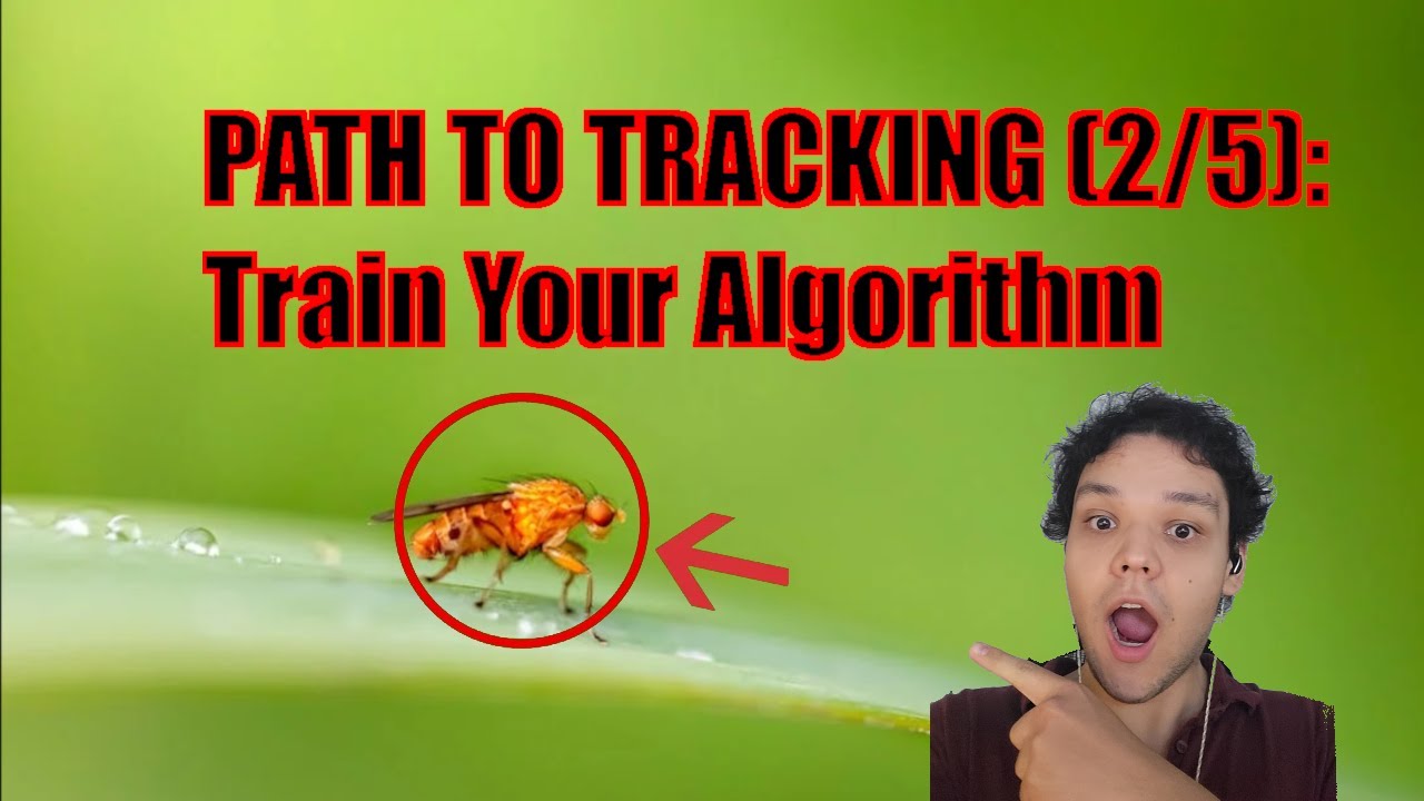 MLDAAPP GitHub Guide on Training Your Algorithm
