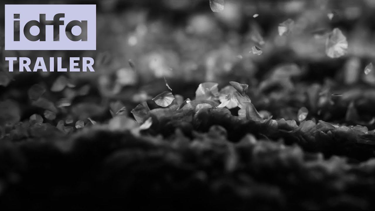 IDFA 2025 | Trailer | Trillion