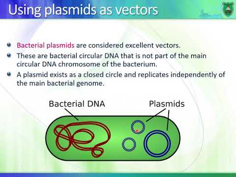 BioD1 DNA cloning and recombinant DNA technology Arabic