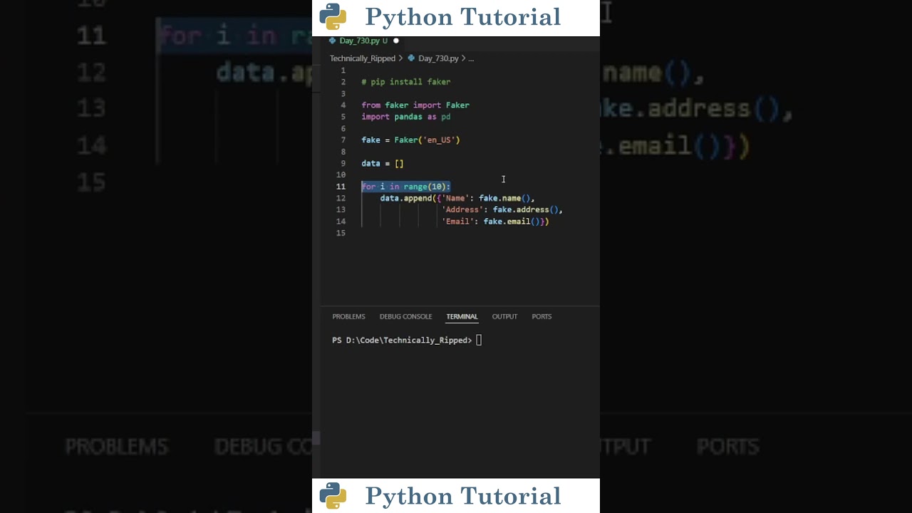 Create a Dummy DataFrame in Seconds with Faker | Python Tutorial