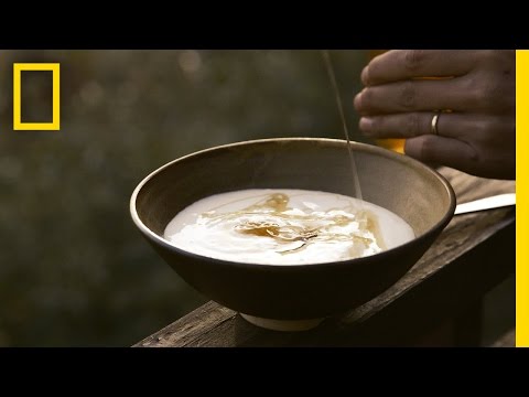 Making Yogurt | Live Free or Die: How to Homestead