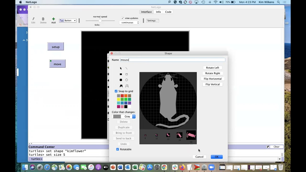 Procedures and Breeds in NetLogo