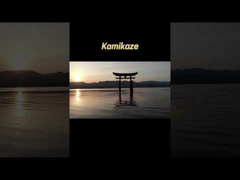 What is Kamikaze? #japanesehistory #japan #japanese #history #kamikaze